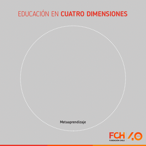 Educarchile: «Educación en Cuatro Dimensiones» de Charles Fadel ...